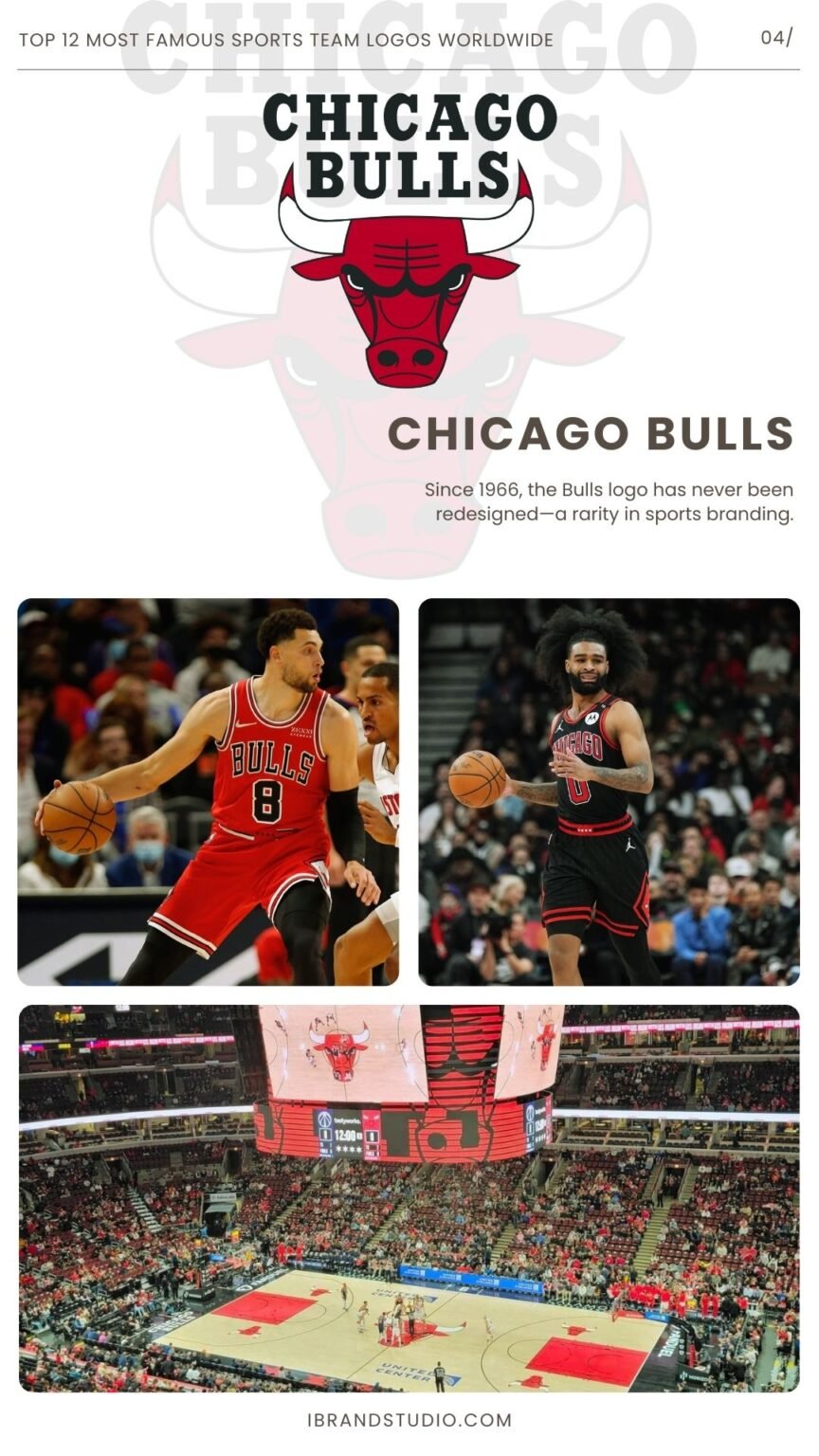 Top 12 Most Famous Sports Team Logos Worldwide